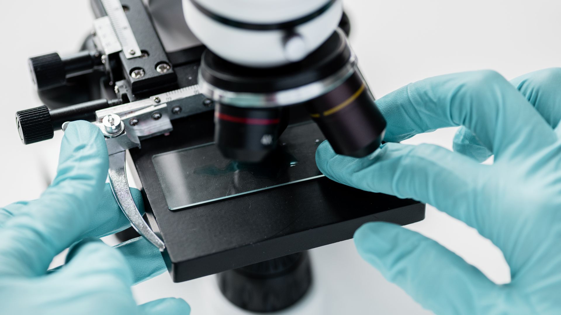 Lesson 02 | Roles of Micro-organisms - Topic