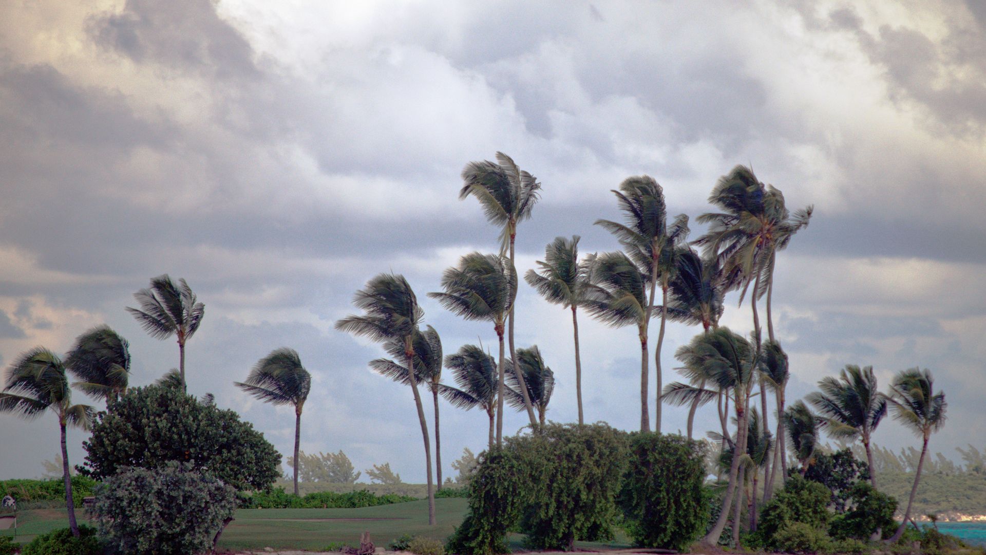 Lesson 03 | Monsoons and Fohn winds - Topic