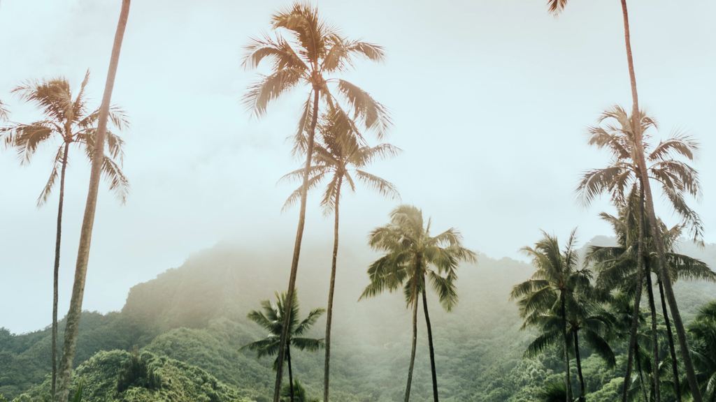 Lesson 02 | TropicaLCyclones - Topic