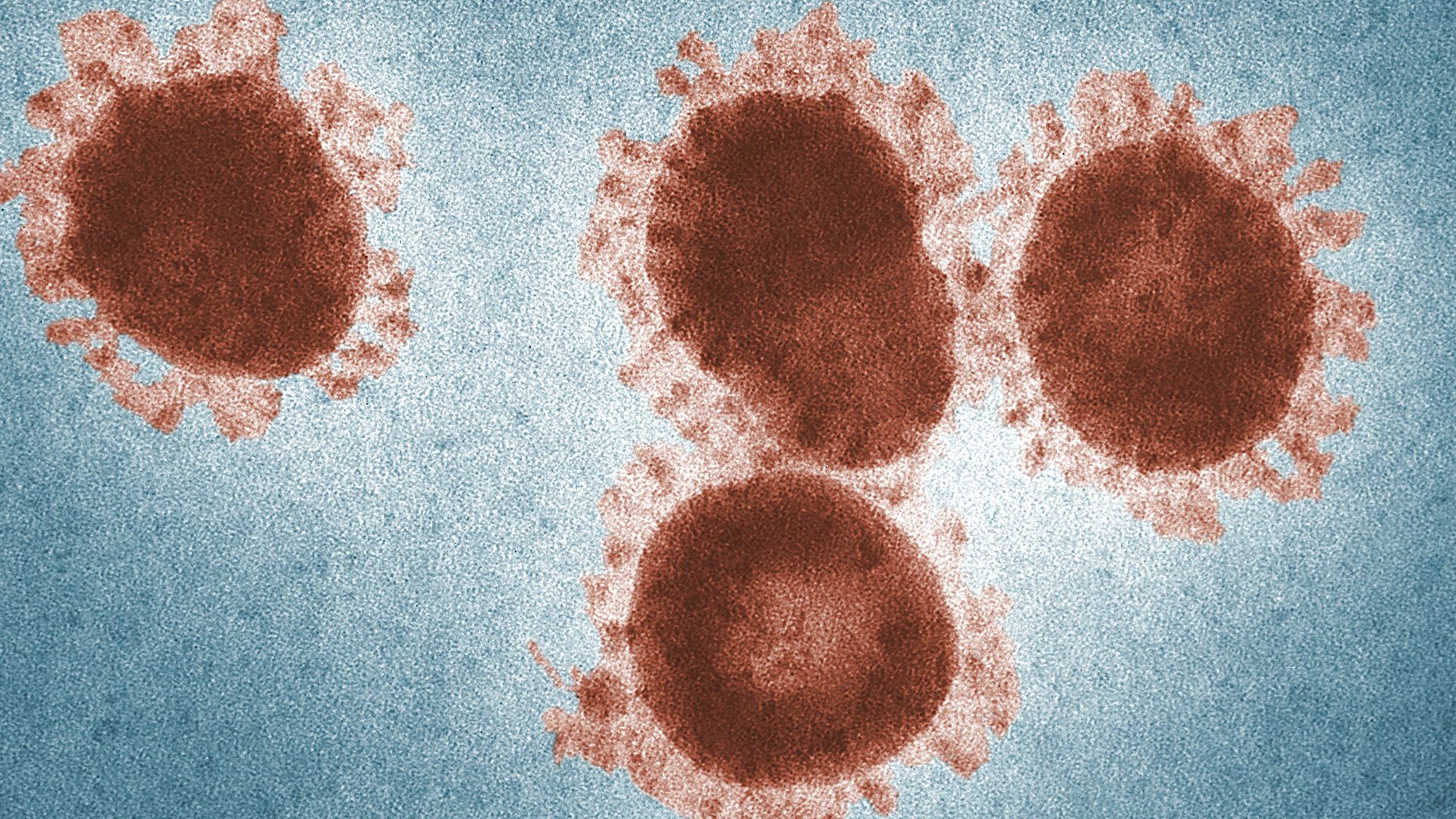 Lesson 01 | Matter and Classification: Part 1 - Topic